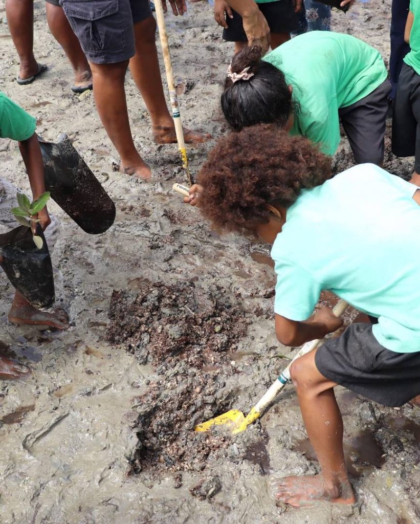 Mangrove planting with Buk Bilong Pikinini | pngbuzz.com